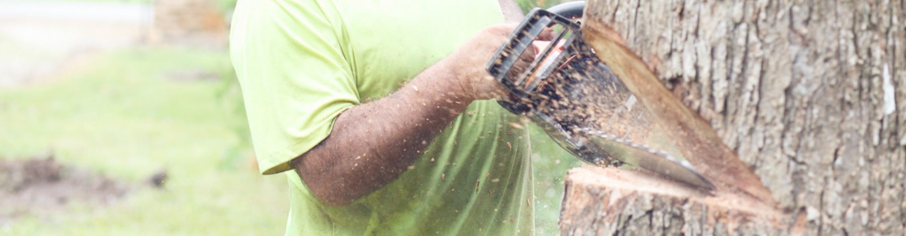 Tree Care by Robert Miller - Contact Us | Brooksville Tree Service