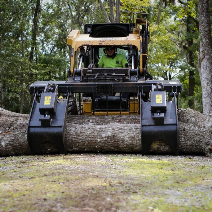 Tree Service in Brooksville, Florida | Tree Care by Robert Miller